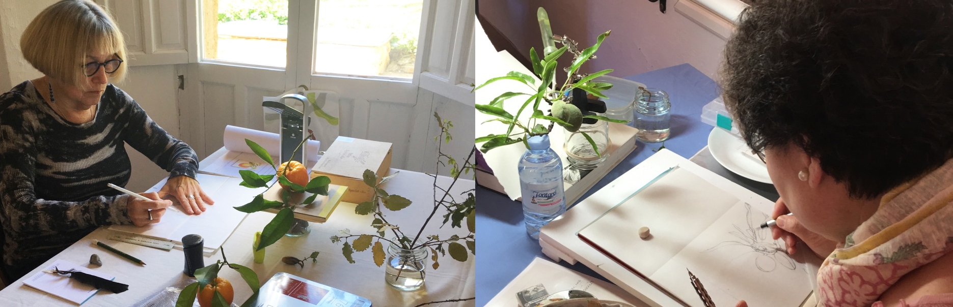 In-person workshops with live specimens and workshop booklets