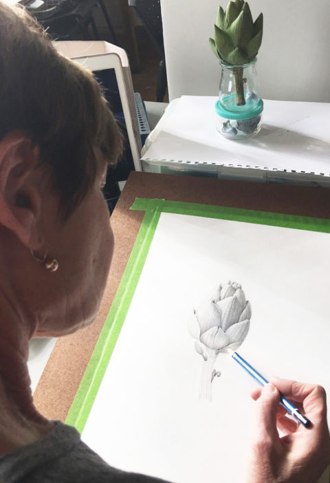 Value drawing in graphite is your key to success in colour