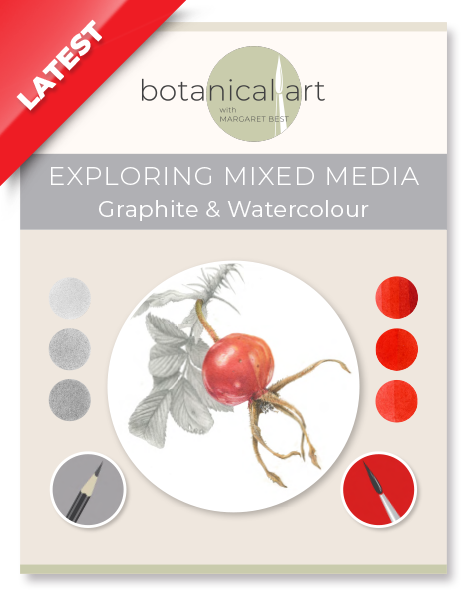 Exploring Mixed Media - Graphite & Watercolor