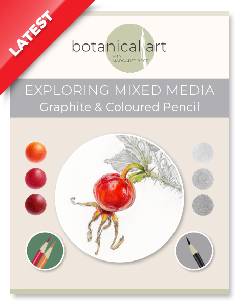 Exploring Mixed Media - Graphite and Coloured pencil